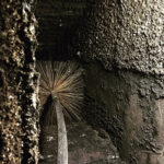 What Is Creosote And What Makes It Dangerous?